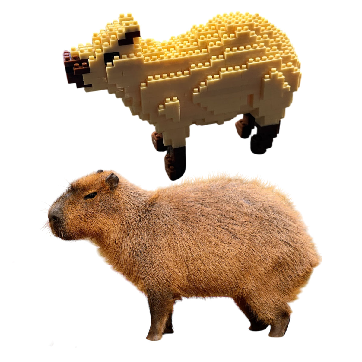 Capybara Micro Morph Micro-Block model – Inspired Passion Productions