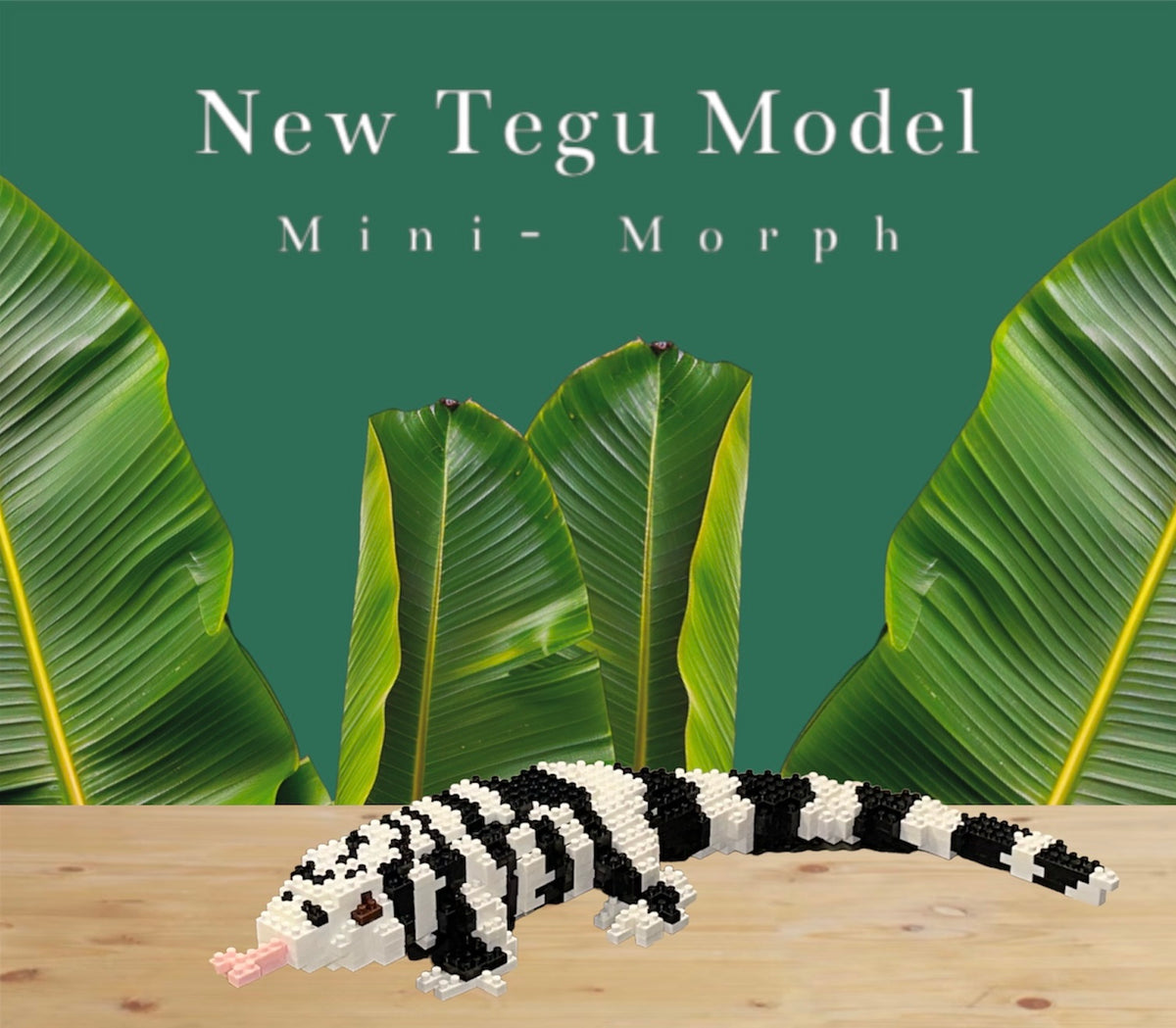 Taz The Tegu Micro Morph Micro-Block model – Inspired Passion Productions