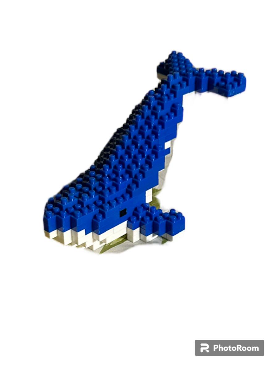 Whale Micro Morph Micro-Block model – Inspired Passion Productions