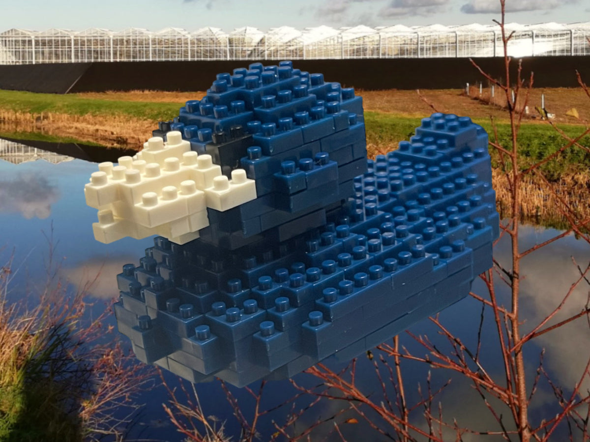 Rubber Duck Micro Morph Navy – Inspired Passion Productions