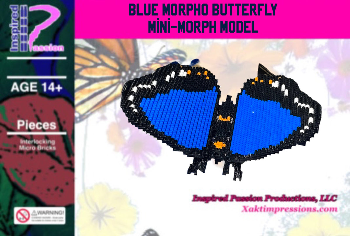 Blue Morpho mini morph micro block model – Inspired Passion Productions