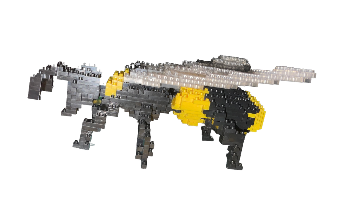 Bumblebee Mini Morph – Inspired Passion Productions