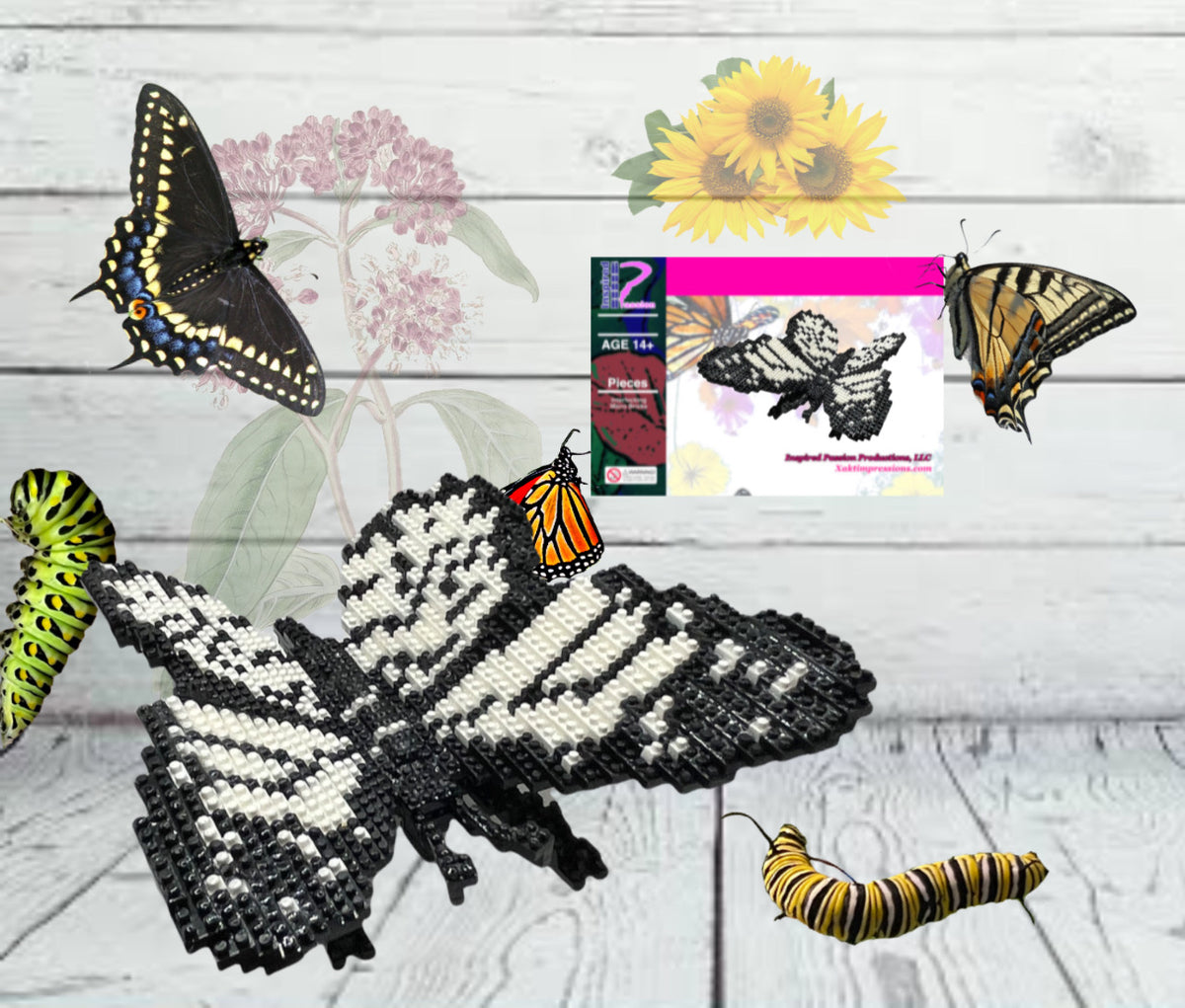 White Monarch Mini Morph Butterfly MicroBlock Model – Inspired Passion ...