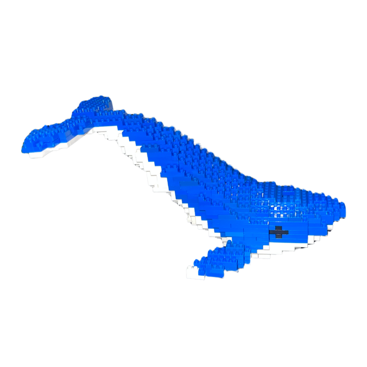 Whale Mini Morph – Inspired Passion Productions