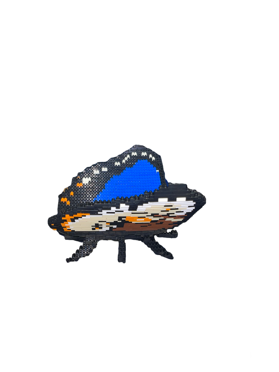 Blue Morpho mini morph micro block model – Inspired Passion Productions