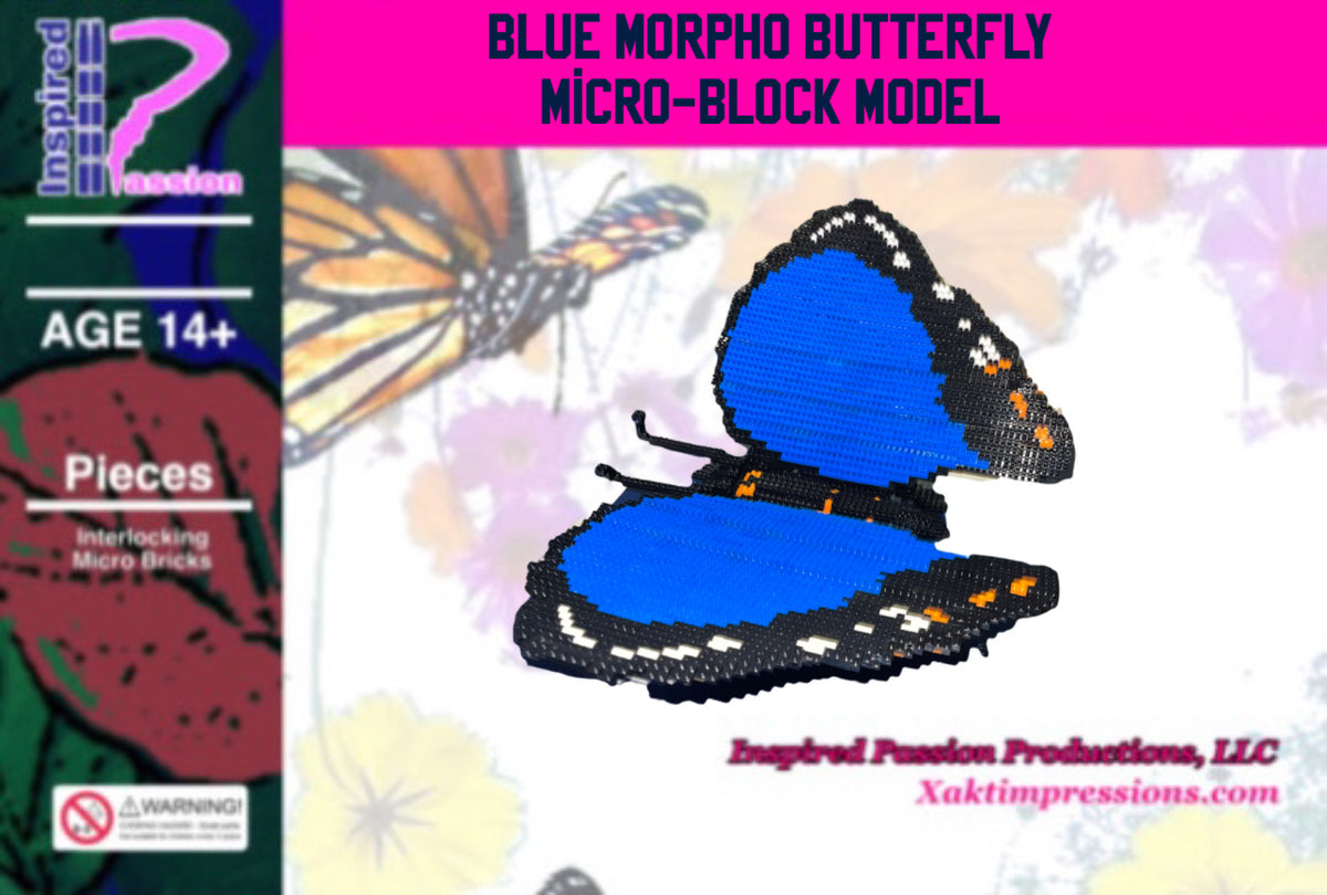 Blue Morpho Micro-Block model – Inspired Passion Productions