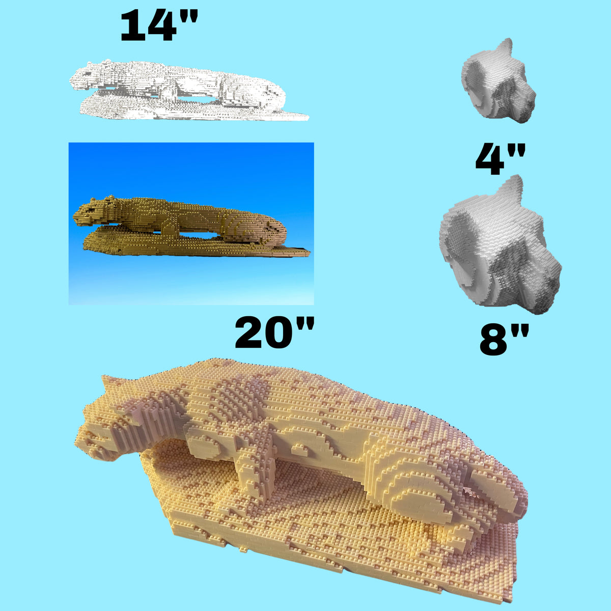 Fully Build Lion Models – Inspired Passion Productions