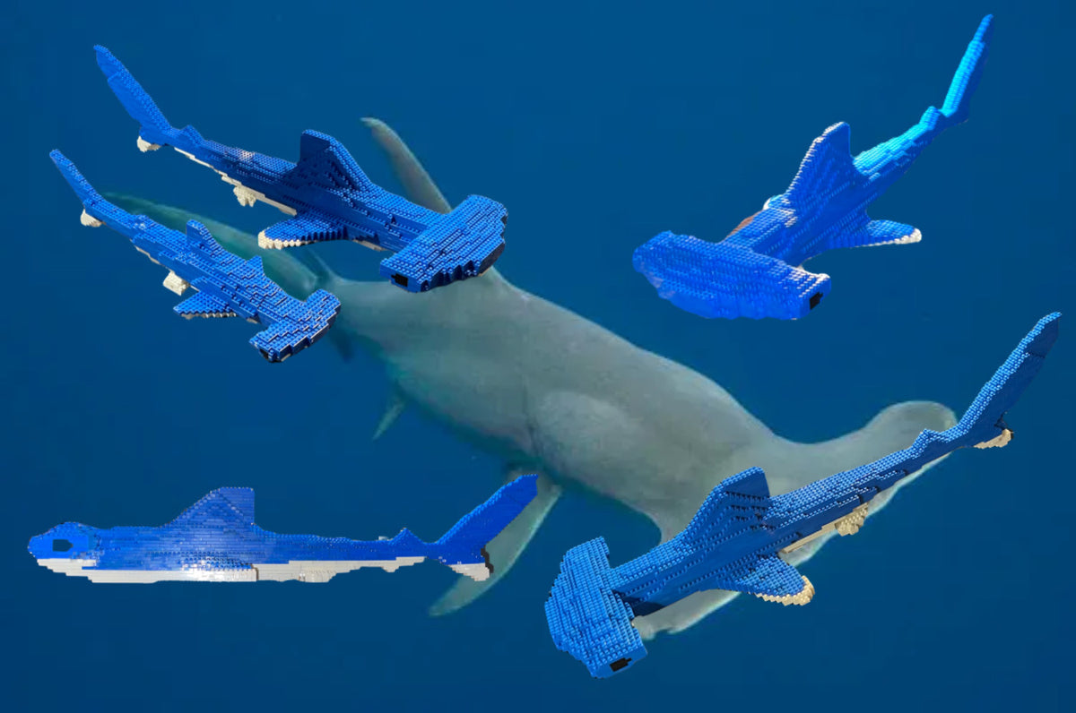 Hammerhead Shark Mini Morph Micro block – Inspired Passion Productions