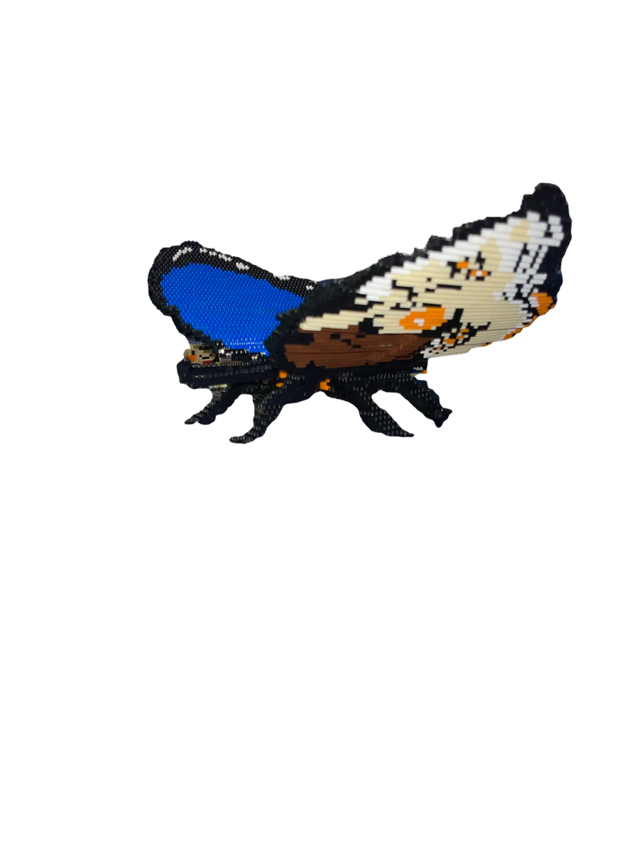 Blue Morpho Micro-Block model – Inspired Passion Productions